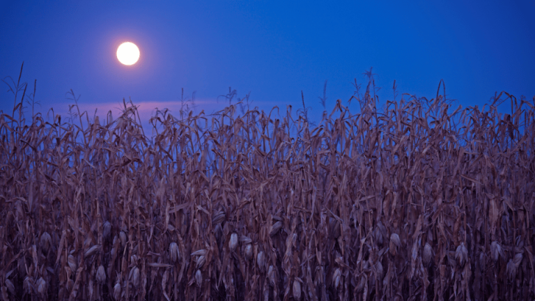 Meaning Behind Names of Full Moons | Positive Prints